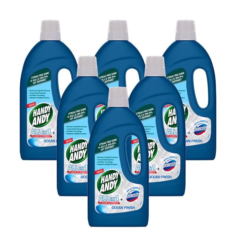 27% off on Handy Andy Floor Cleaner | OneDayOnly